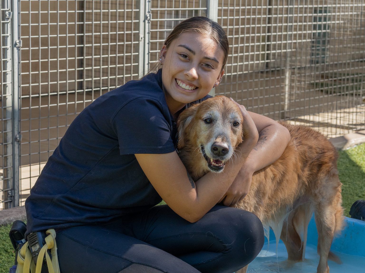 Home - The Pet Industry College